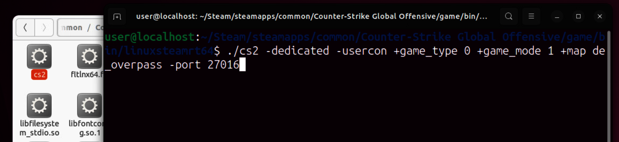 How to host a Counter-Strike 2 server on Linux - IONOS CA