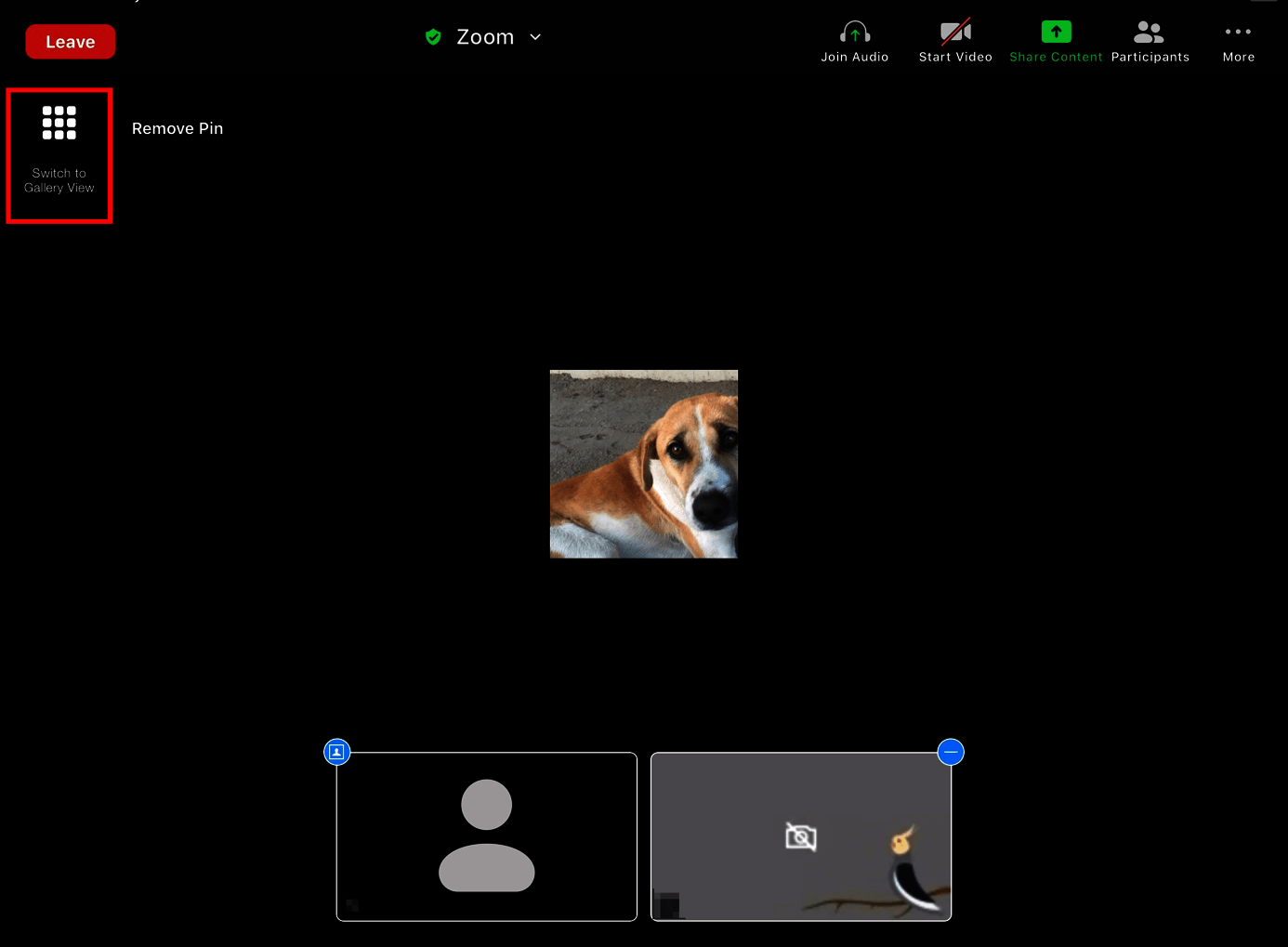 How to see everyone on Zoom: Using gallery view - IONOS CA