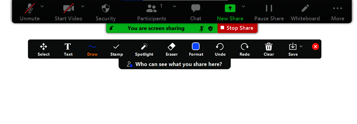 Zoom Whiteboard | How to use Whiteboard in Zoom - IONOS CA