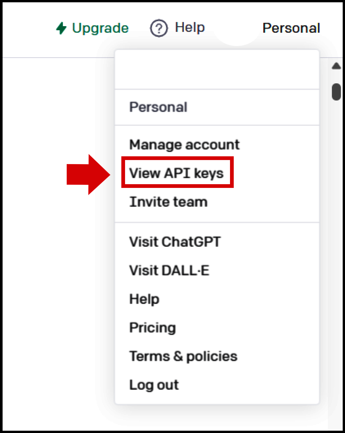 How to use ChatGPT API key - IONOS CA