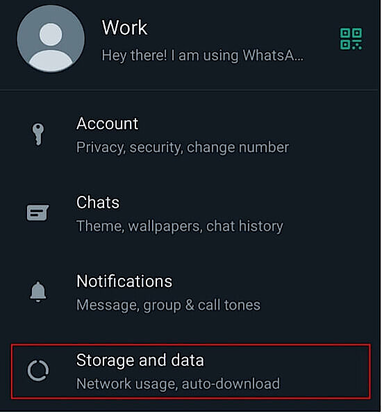 How to start a WhatsApp video call - IONOS CA