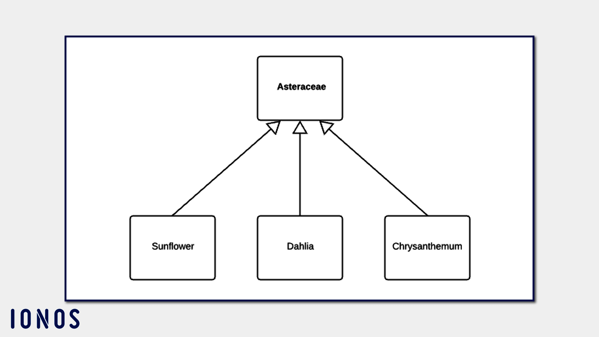 Create class diagrams with UML: benefits and notation - IONOS CA