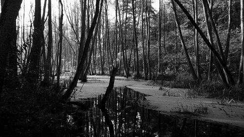 CSS tricks everyone should know - IONOS CA