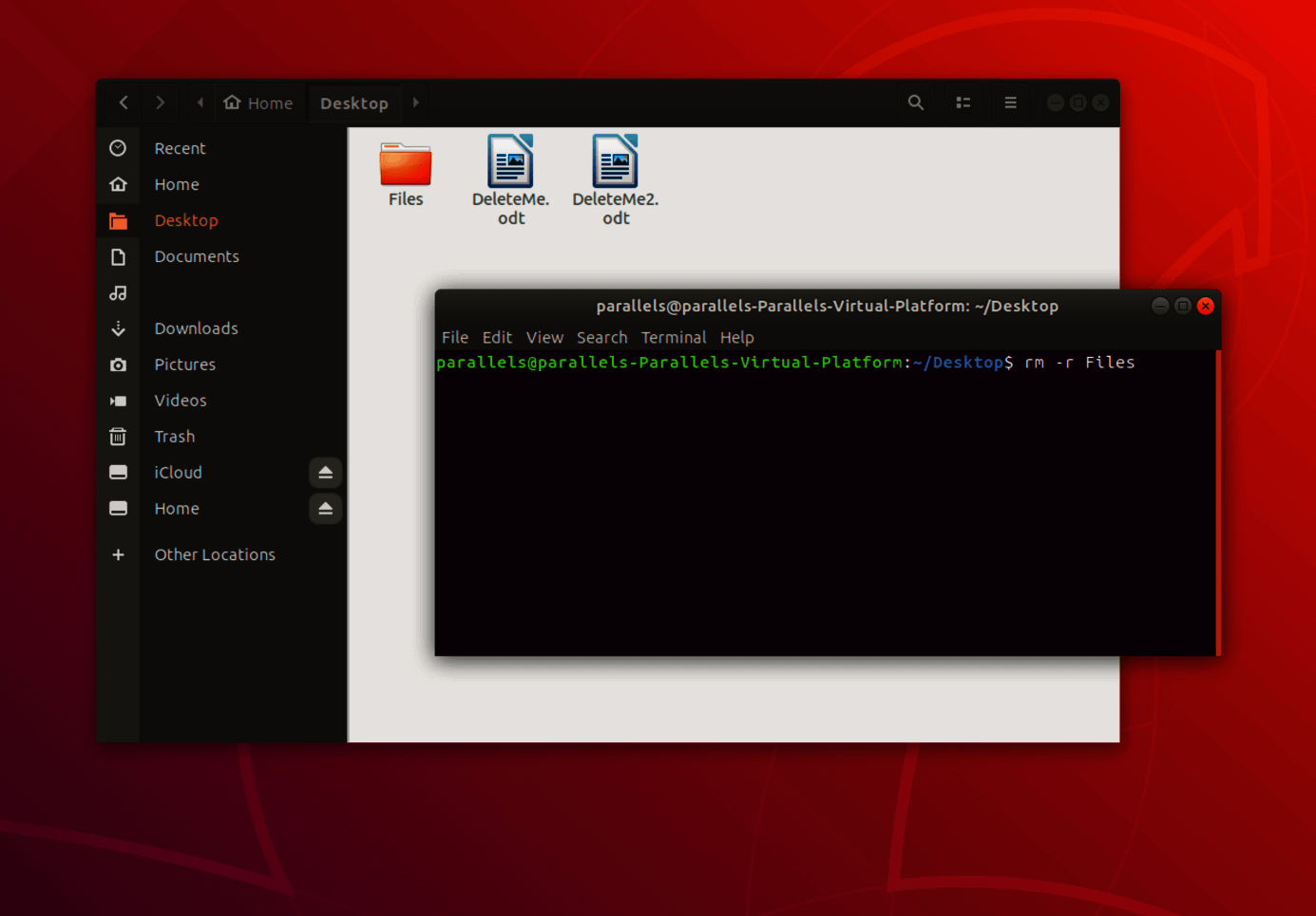 How to delete a Linux directory - IONOS CA